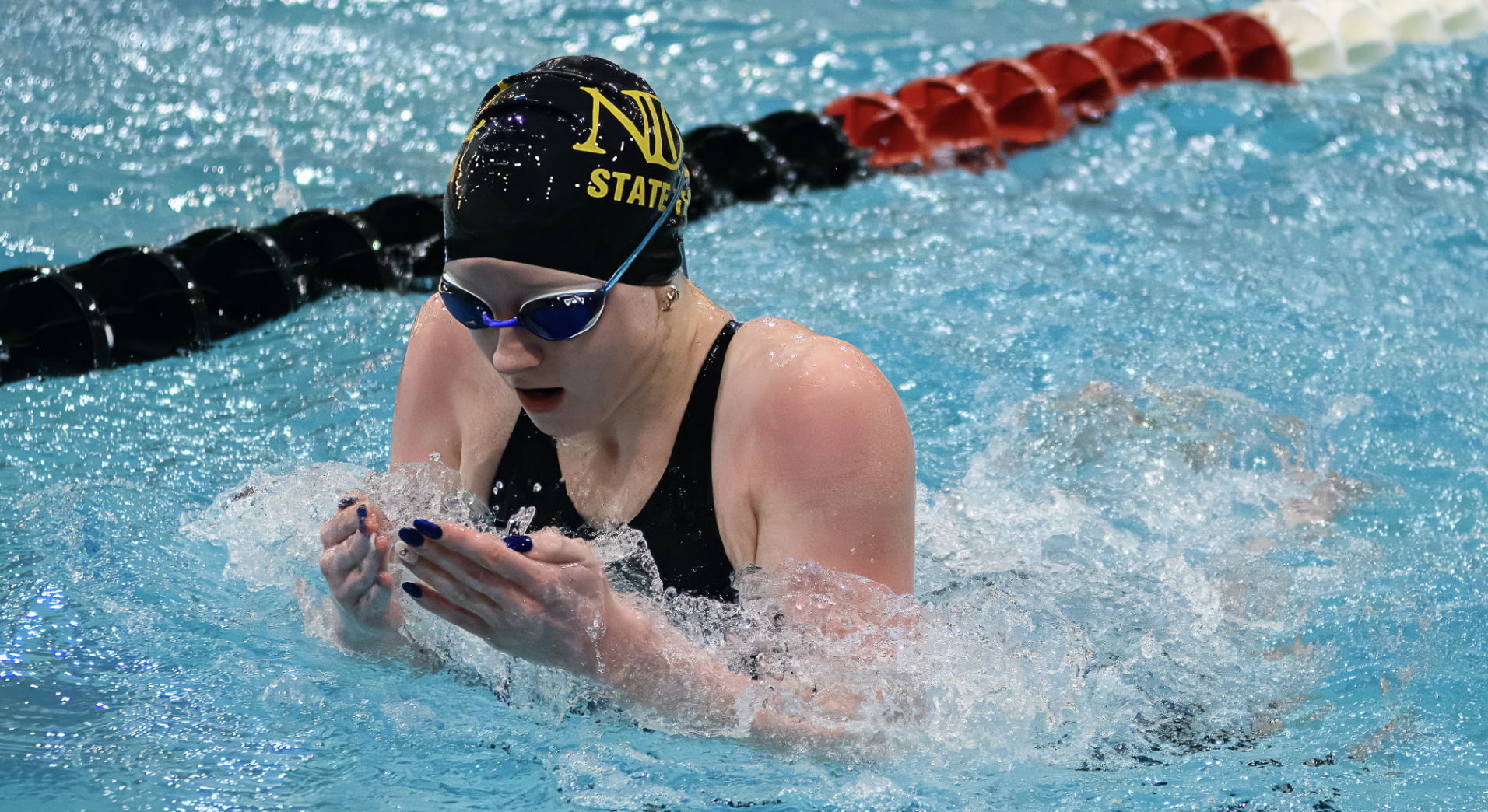 Lions’ Dynes and Tigers’ Mateyo Stand on Swimming Podium | Geauga County Maple Leaf